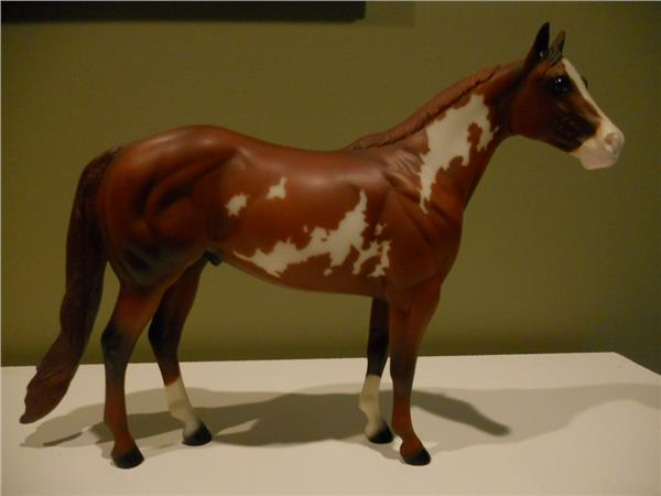 Peter Stone Paint Overo Ratchet